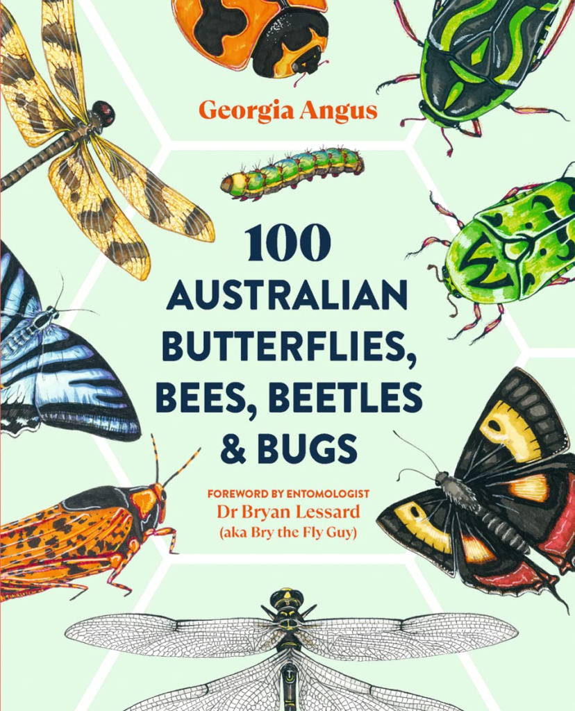 100 Australian Butterflies, Bees, Beetles & Bugs - Outdoors Queensland